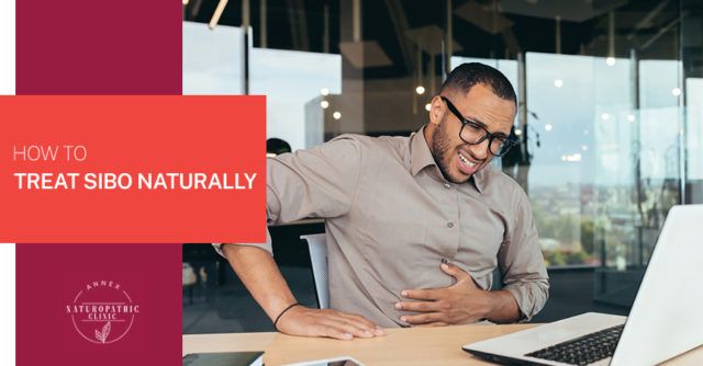 8 Natural Remedies and Treatments for SIBO - Annex Naturopathic Clinic